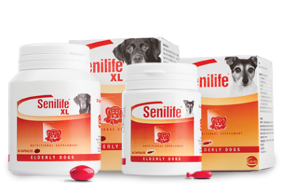 Why Senilife? | Senilife
